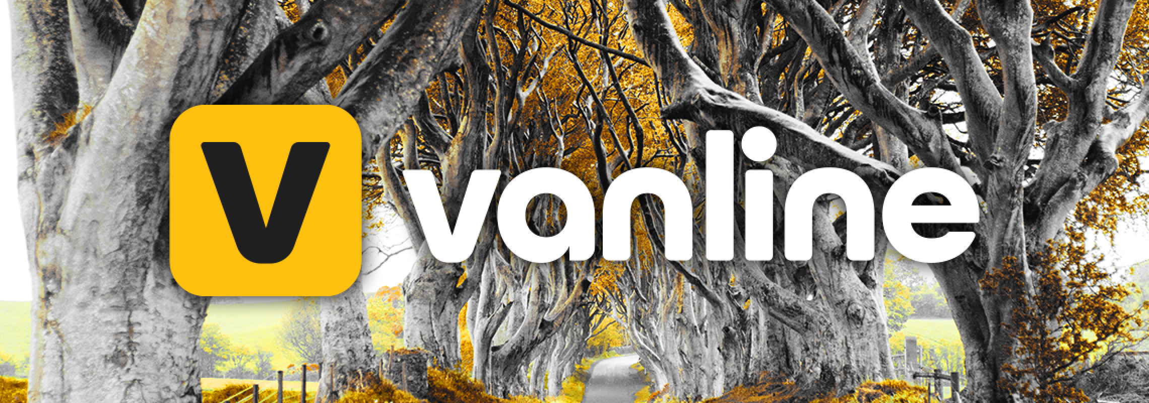 Celebrating 15 Years of Van Line: A New Website, Logo, and Unwavering ...